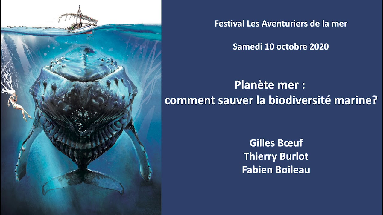 Planète mer comment sauver la biodiversité marine ? - YouTube