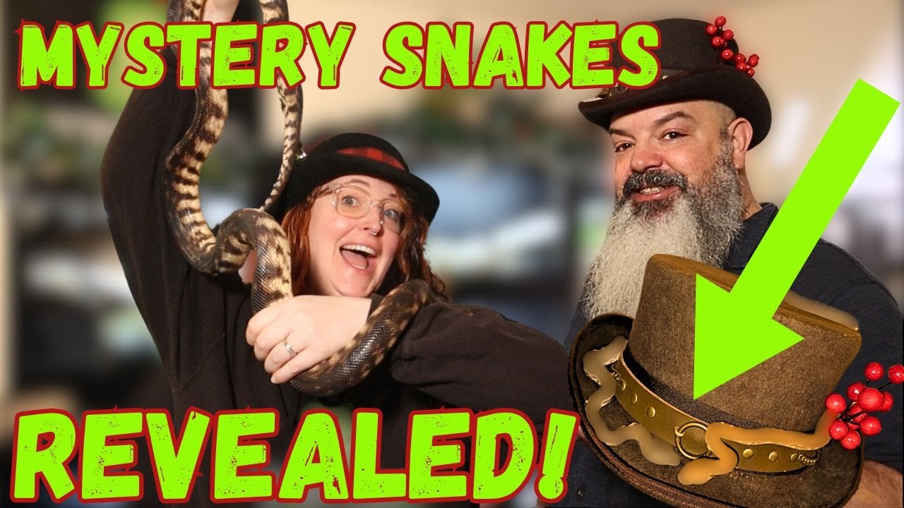 Complete Snake Tour Going Into 2025 - YouTube