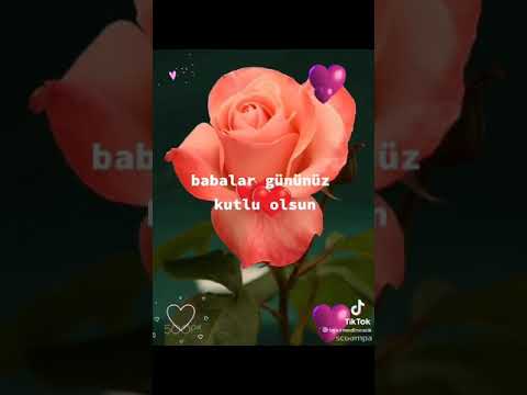 Abdurrahman Önül Babam Neredesin