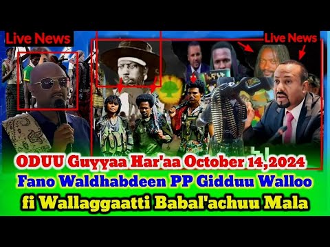 Oduu Hatattamaa Har'aa October 14/2024 Fano Waldhabdeen PP Gidduu ...