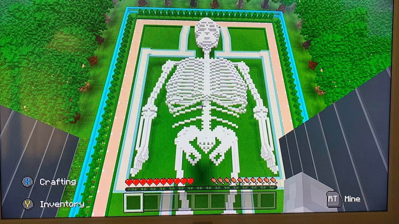 Minecraft Skeleton Anatomy