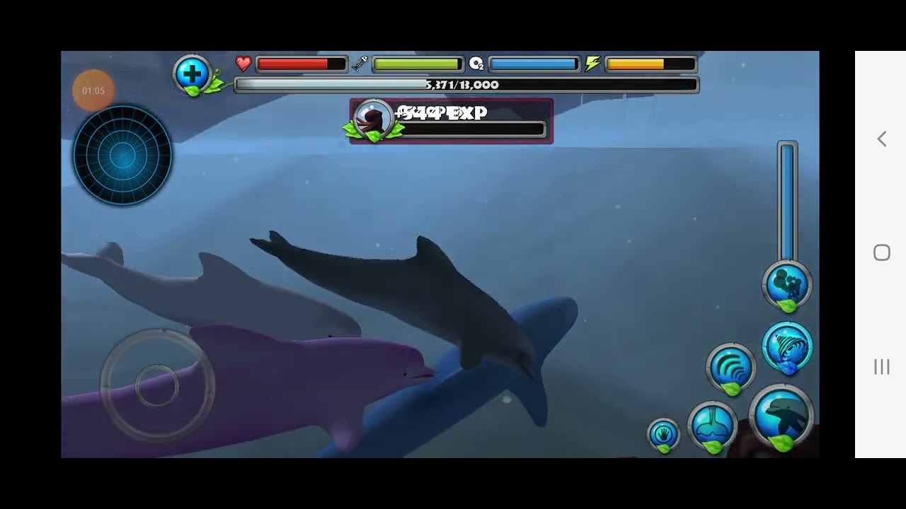 Dolphin Simulator Full Gameplay - YouTube