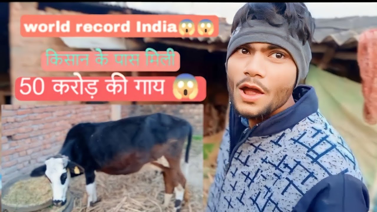 50 Crore ki gay sabse Amir kishan / full interview Desi boy / Suraj Tomar - YouTube