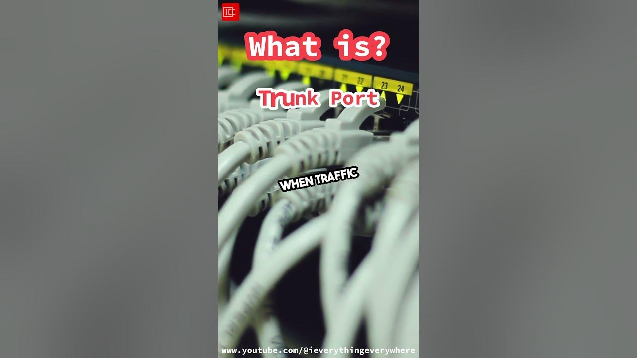 What is a trunk port? // CCNA Lab // #ccna_routing_and_switching # ...