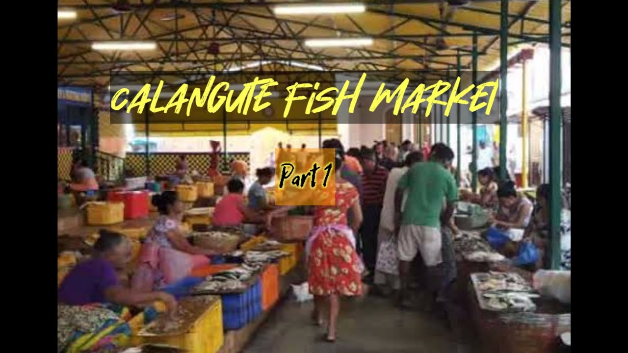 Calangute Fish Market | Goa - YouTube