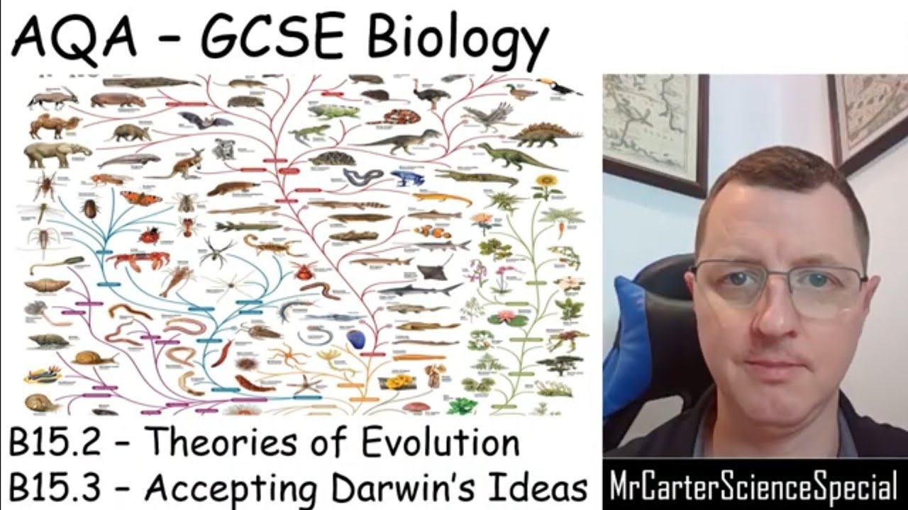 B15.2/ B15.3 - Theories of Evolution - AQA Biology GCSE 9-1 - YouTube