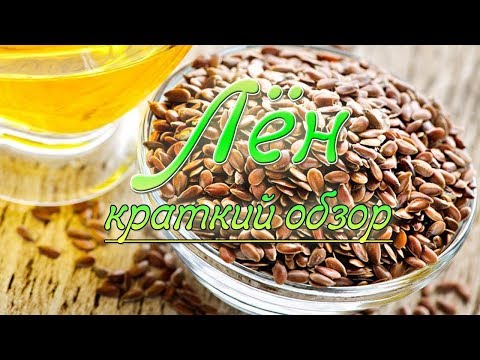 Евгений Агафонов (проект Живая Пища), Обзор полезных свойств Льна (источник Омега Кислот)(видео 100)