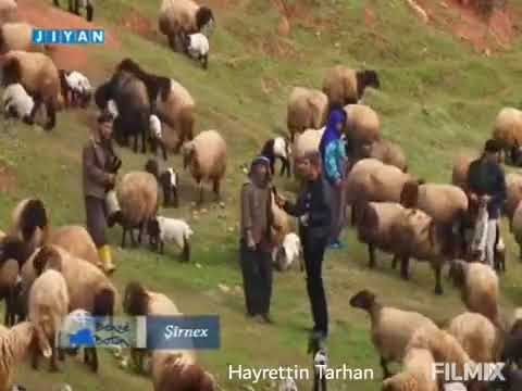 Hayrettin  Tarhan  süper söylüyor Allah Rahmet eylesin mekanı cennet olsun inşallah..