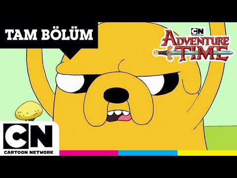 Acayip Şehir | ADVENTURE TİME | TAM BÖLÜM | @cartoonnetworkturkiye