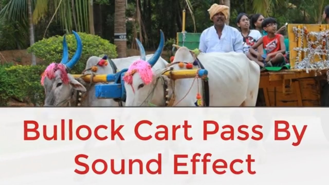 Bullock Cart Pass by |Indian|Think sound effect|Bailgadi|ghanti|Farmer ...