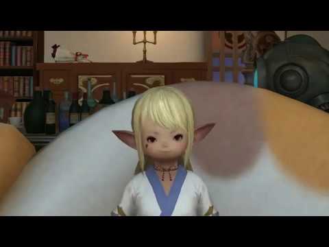 FFXIV: Fat Cat Is Fat - YouTube