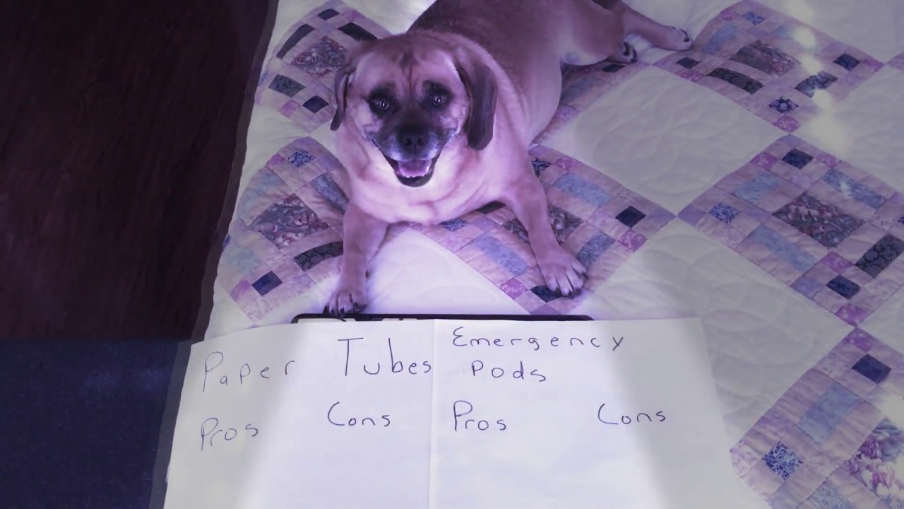 HSEP 302 final project VCU - YouTube