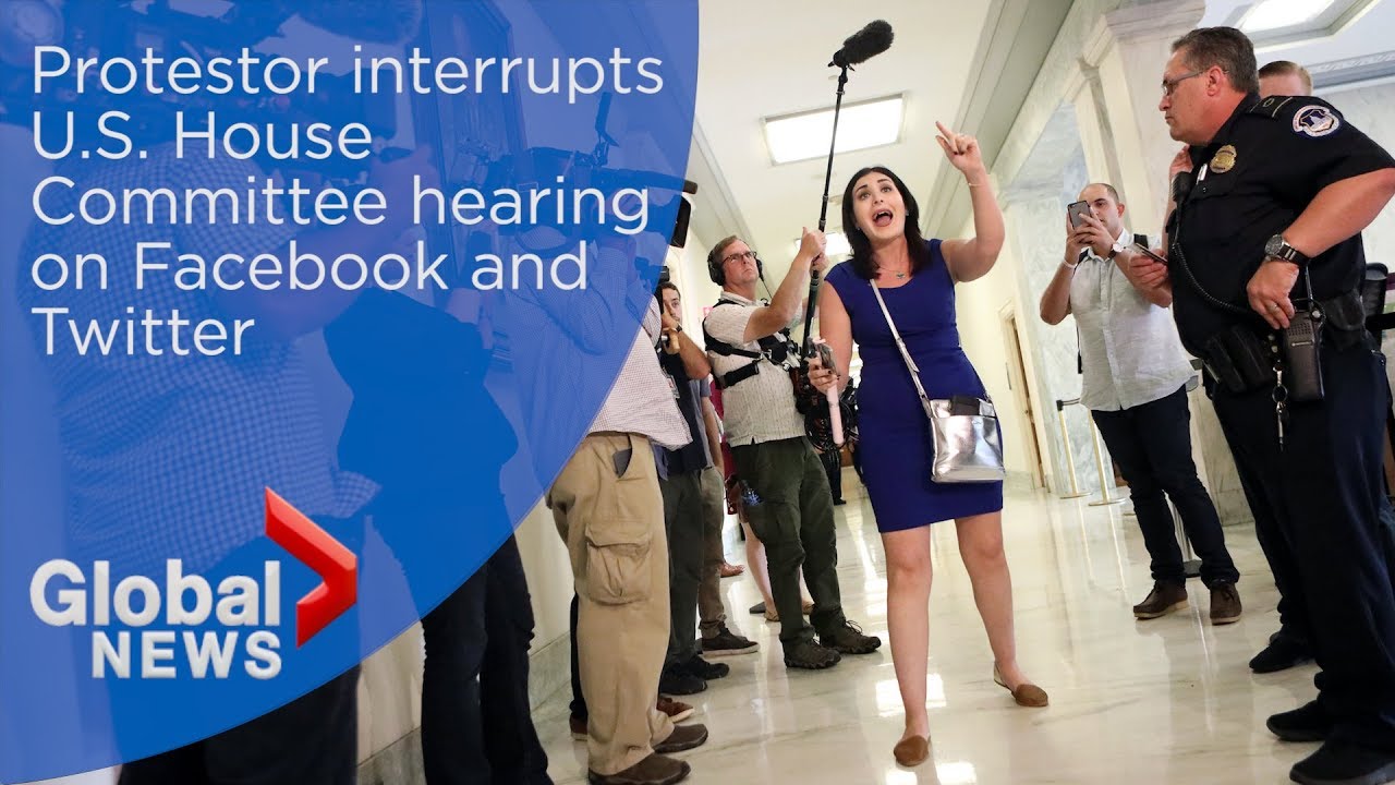 Congressman breaks into auction chant to drown out protester at hearing ...