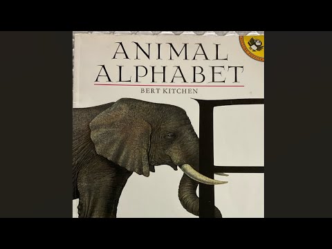 Animal Alphabet - YouTube