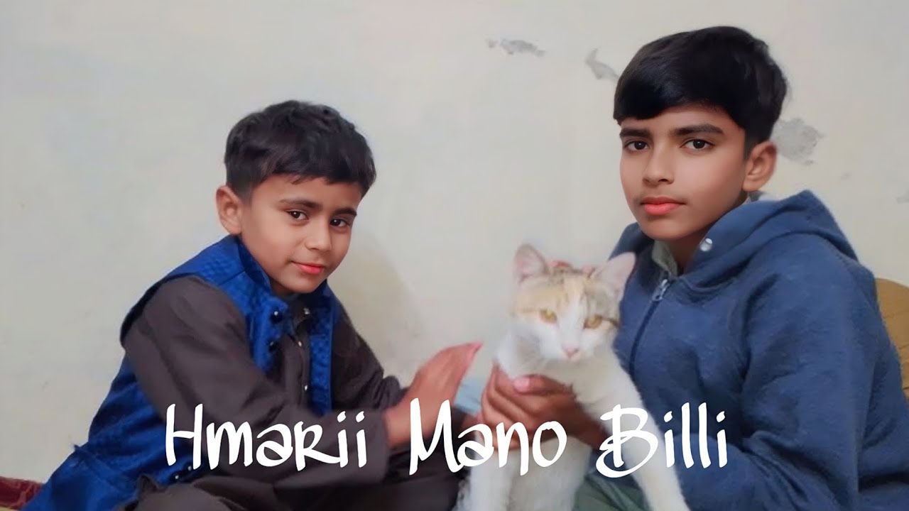 Hmri Mano billi😽|Day 2 in Rawalpindi - YouTube