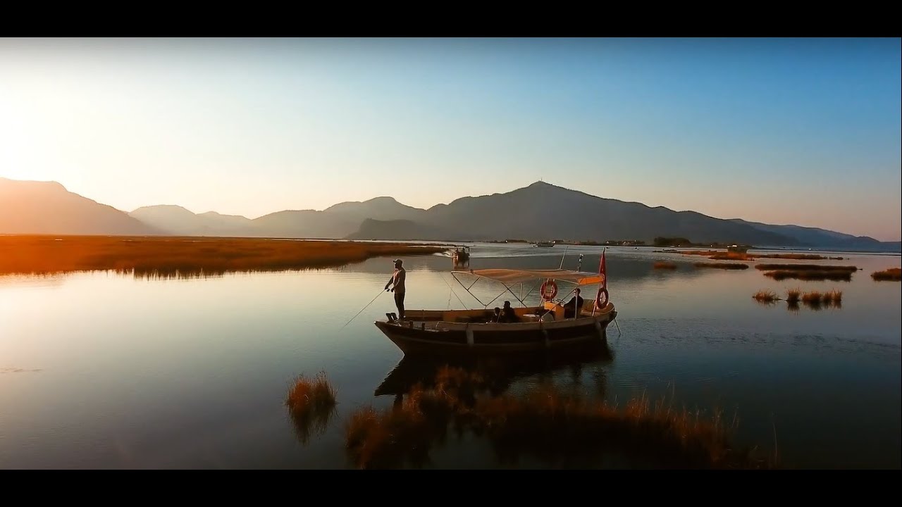 Han Fishing - YouTube