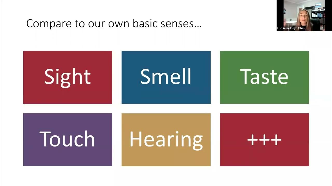 Coding micro:bit sensors for beginners - YouTube