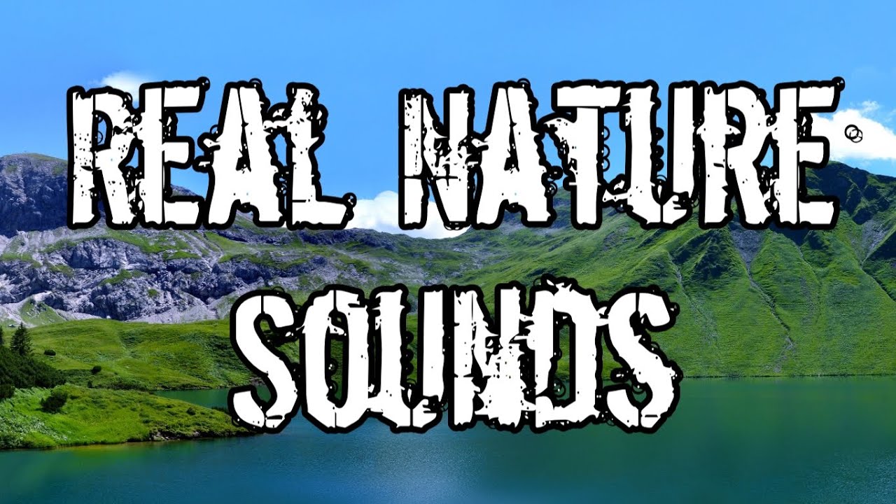 REAL NATURE SOUNDS / SONIDOS REALES DE LA NATURALEZA - YouTube