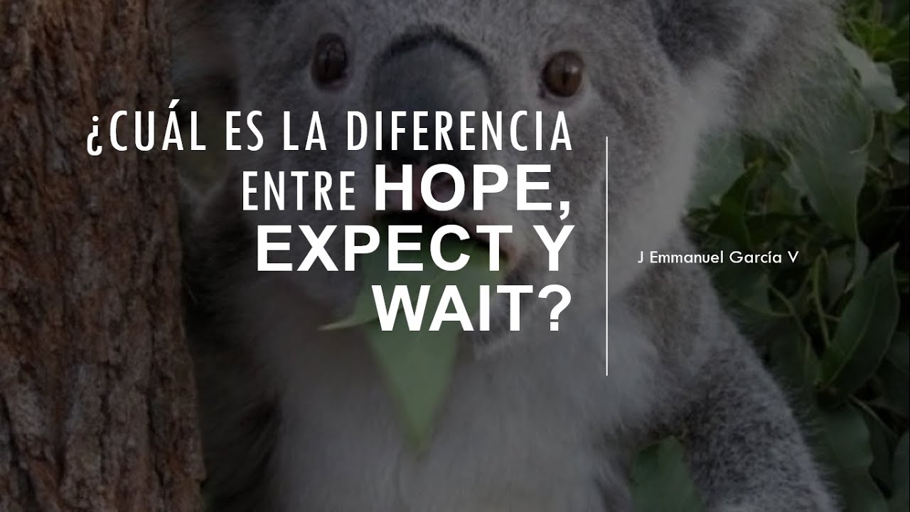 ¿Cuál es la diferencia entre hope, expect y wait? - YouTube