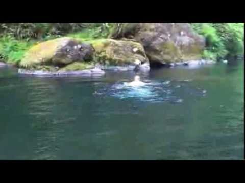 Kilchis River, Oregon - YouTube