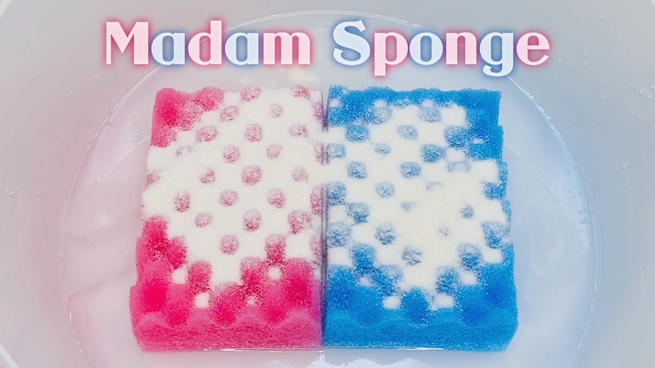 ASMR Sponge 633.Madam Sponge - YouTube