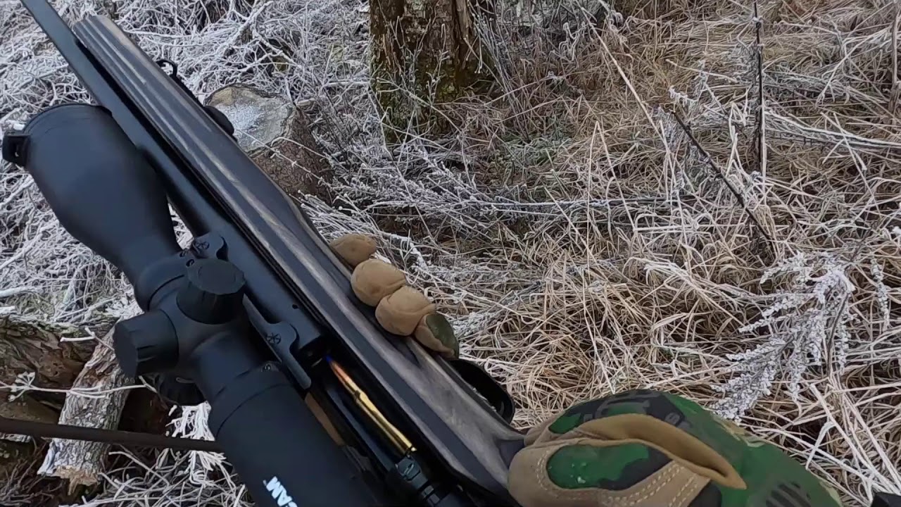 Hunting for roe deer in Norway Jakt etter rådyr i Norge - YouTube