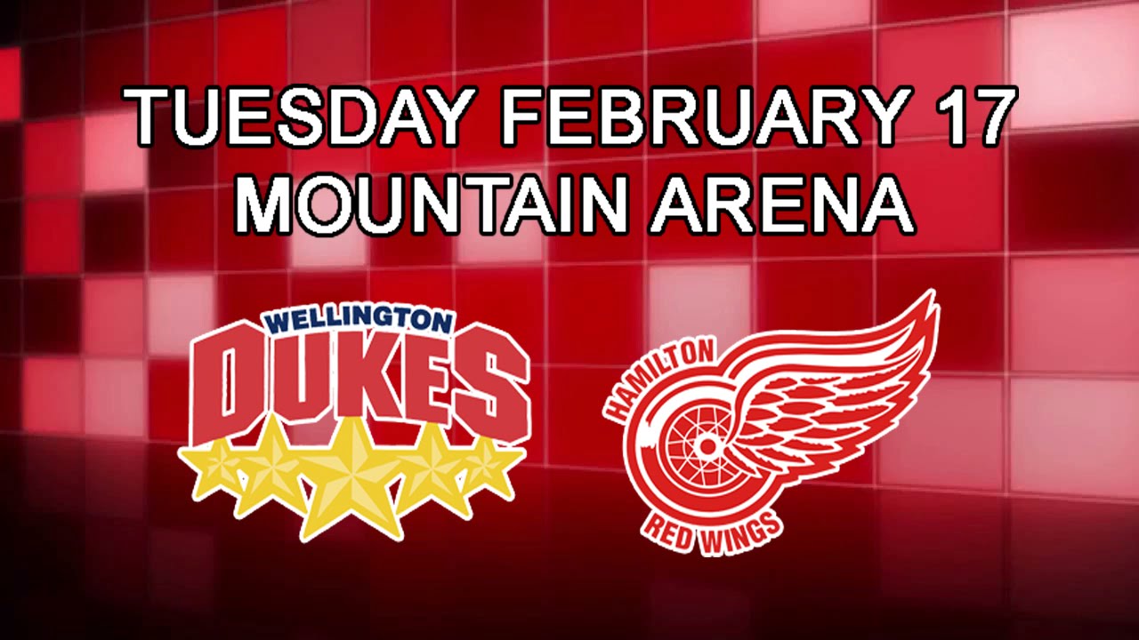 Wellington Dukes at Hamilton Red Wings OJHL Highlights Feb 17 2015 ...
