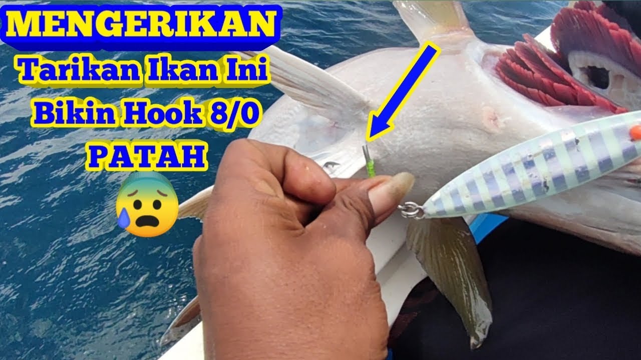 Ikan monster mengamuk. Hook patah, asist hook putus, splid ring ...