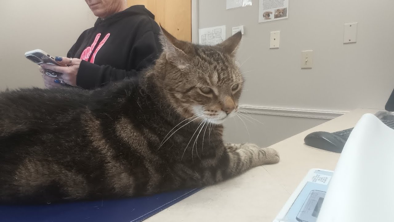 a better view for gordon - YouTube