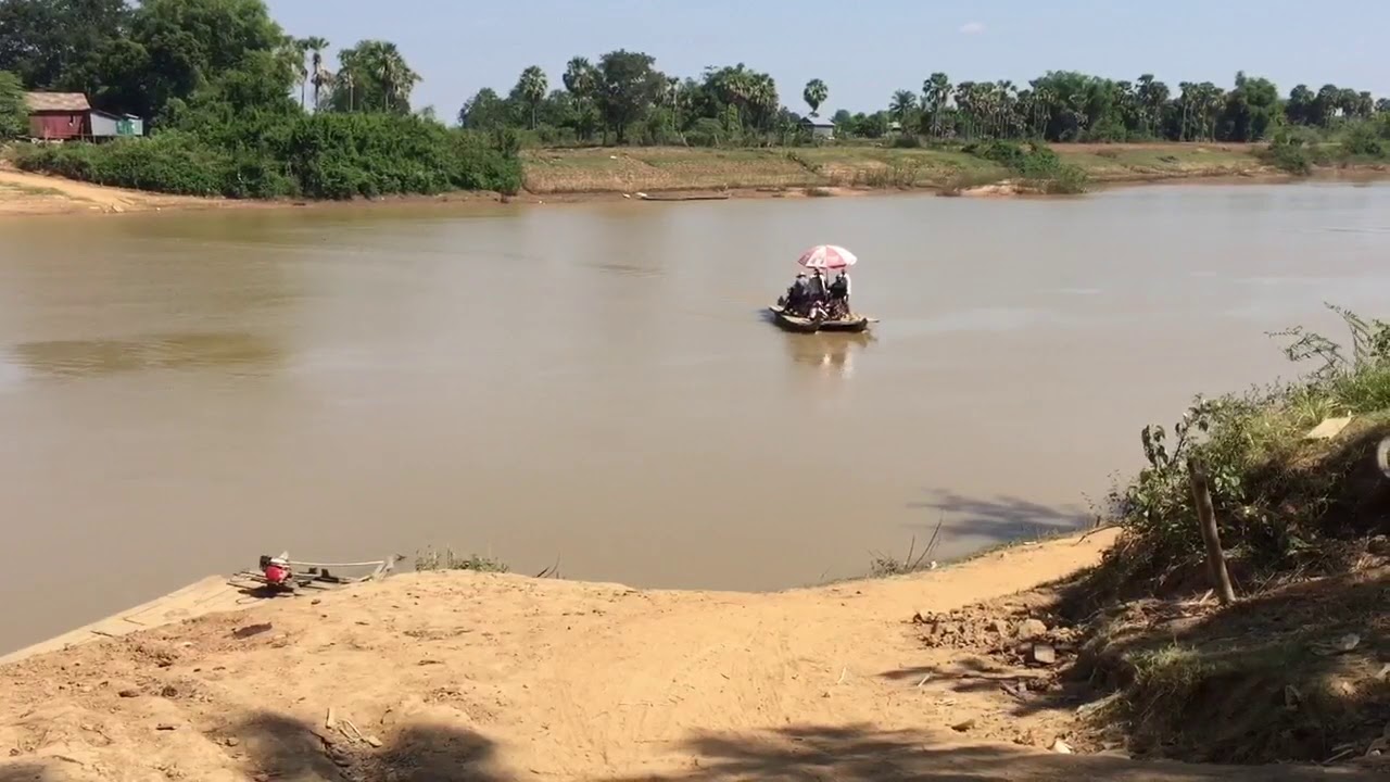 Cross linking Activities fish at the arear ...