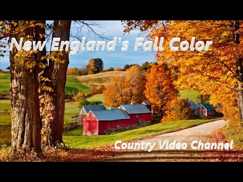 New England's Fall Colors Reveal a Stunning Secret! - YouTube