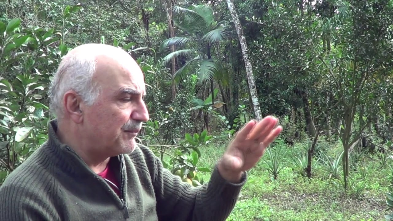 945 ) – 1° PARTE - ITANHAÉM SÃO PAULO - FULIGEM PRETA - 40a - YouTube