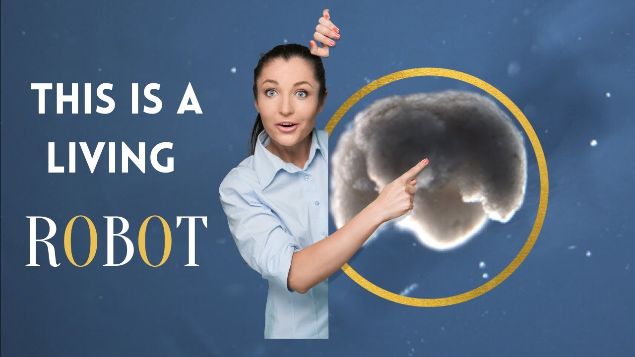 FUTURE TECHNOLOGY | TOP 8 Massive Ideas that will change the world ...