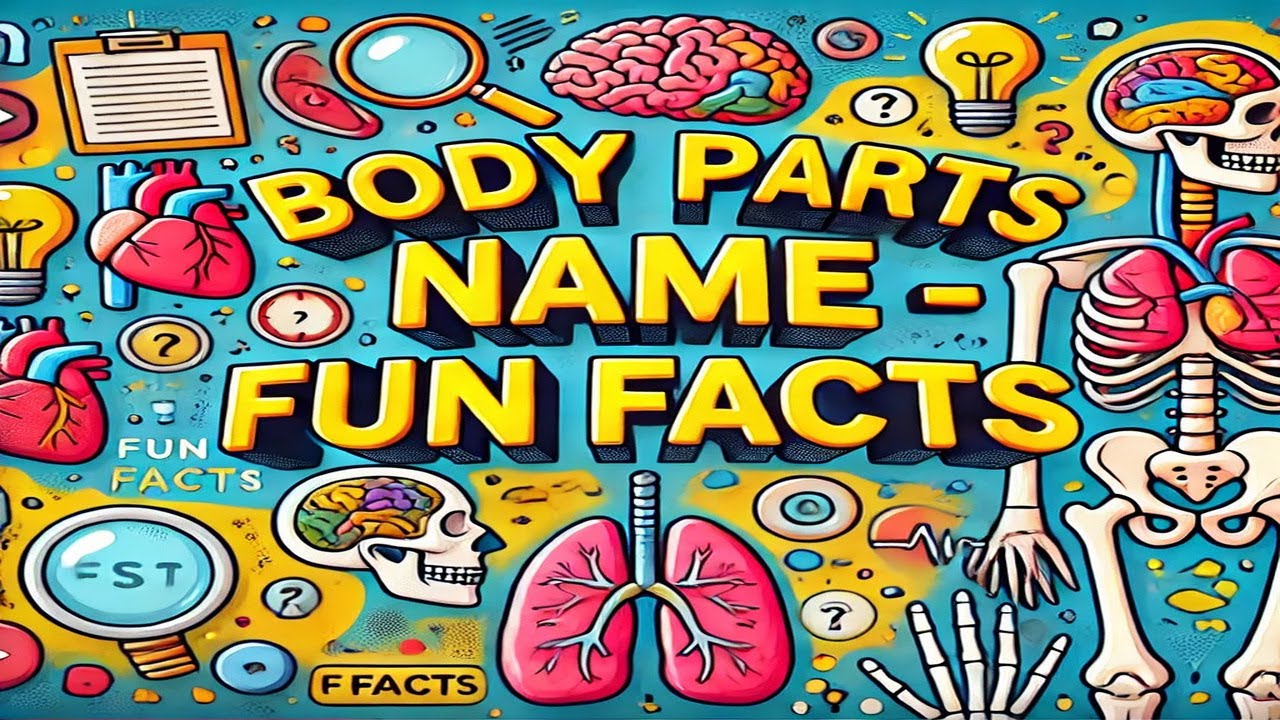 Unheard Fun Facts of Body Parts Name. Some LOL Facts :P - YouTube