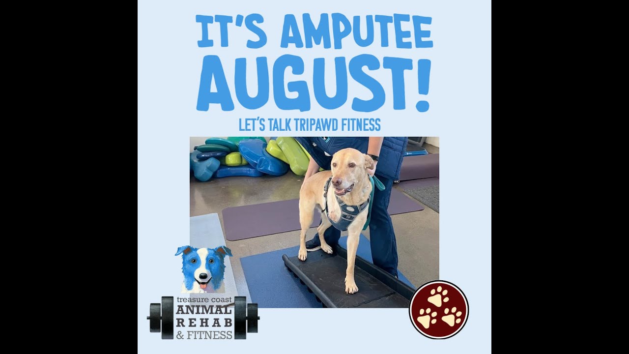 Amputee August Celebration with Dr. Amber Callaway-Lewis - YouTube