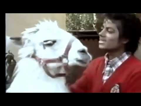 Michael Jackson with his pet lama