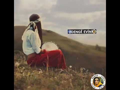 Gercekten yüreği sızlatan şarkı