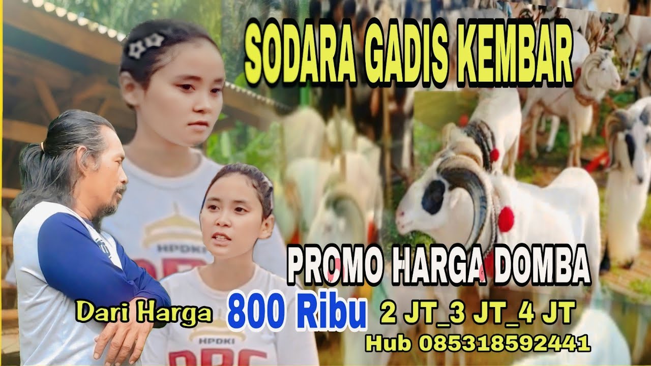 SODARA GADIS KEMBAR NENG DINA DINI PROMO HARGA DOMBA SPECIAL MENJELANG ...