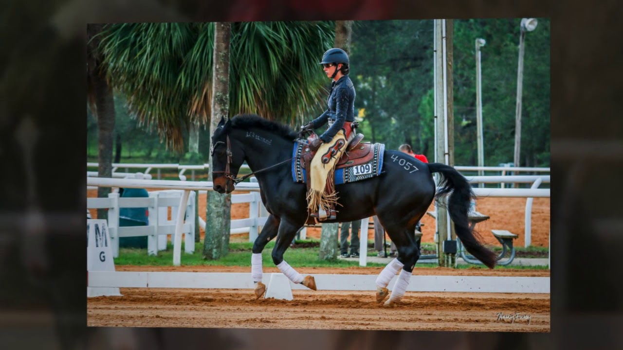 Freestyle Book Trailer - YouTube