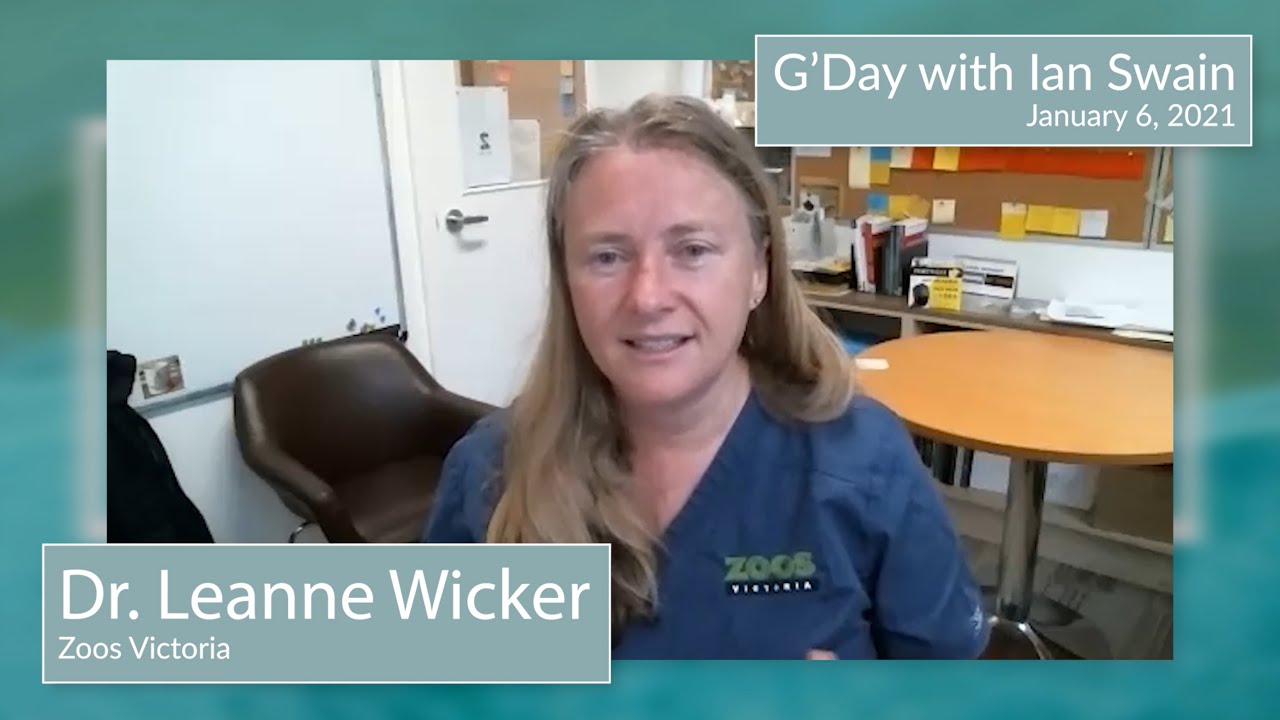 G'Day with Ian Swain - Dr. Leanne Wicker - YouTube