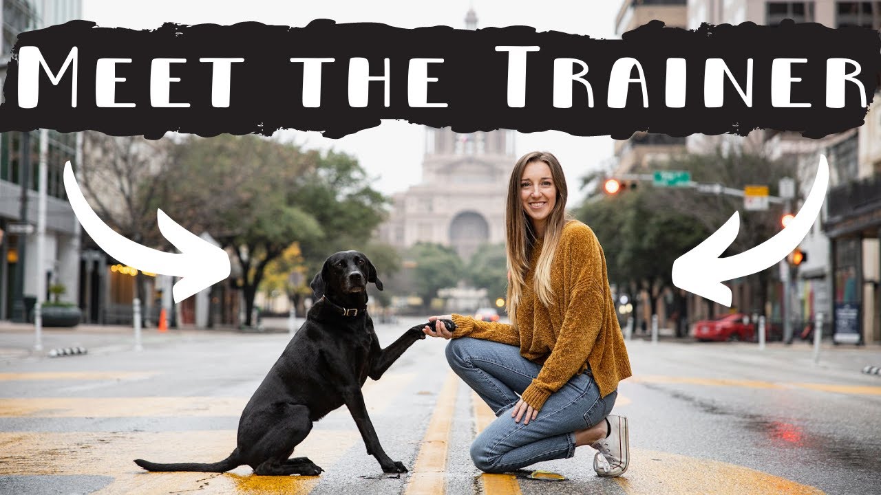Austin, Texas Dog Trainer | Get To Know ME! - YouTube