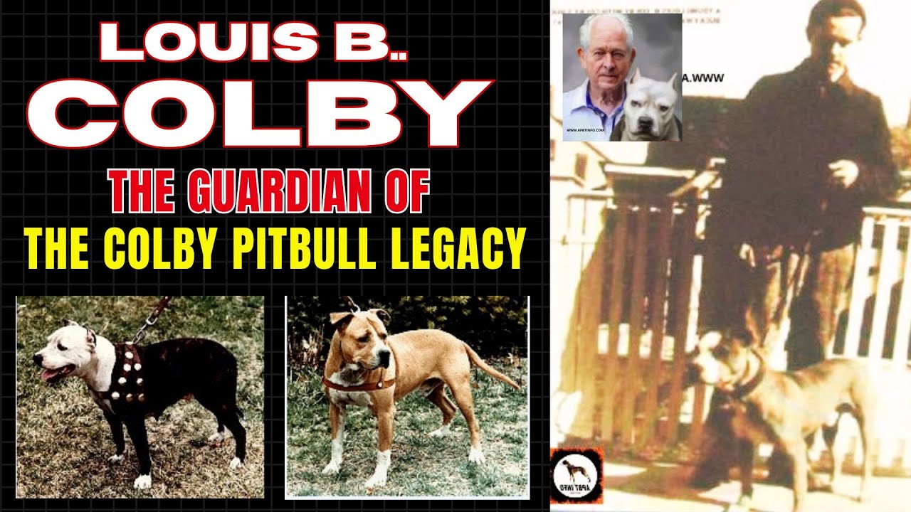 The story of LOUIS B. COLBY | DEEP DIVE PODCAST | APBT HISTORY | DOGMEN ...