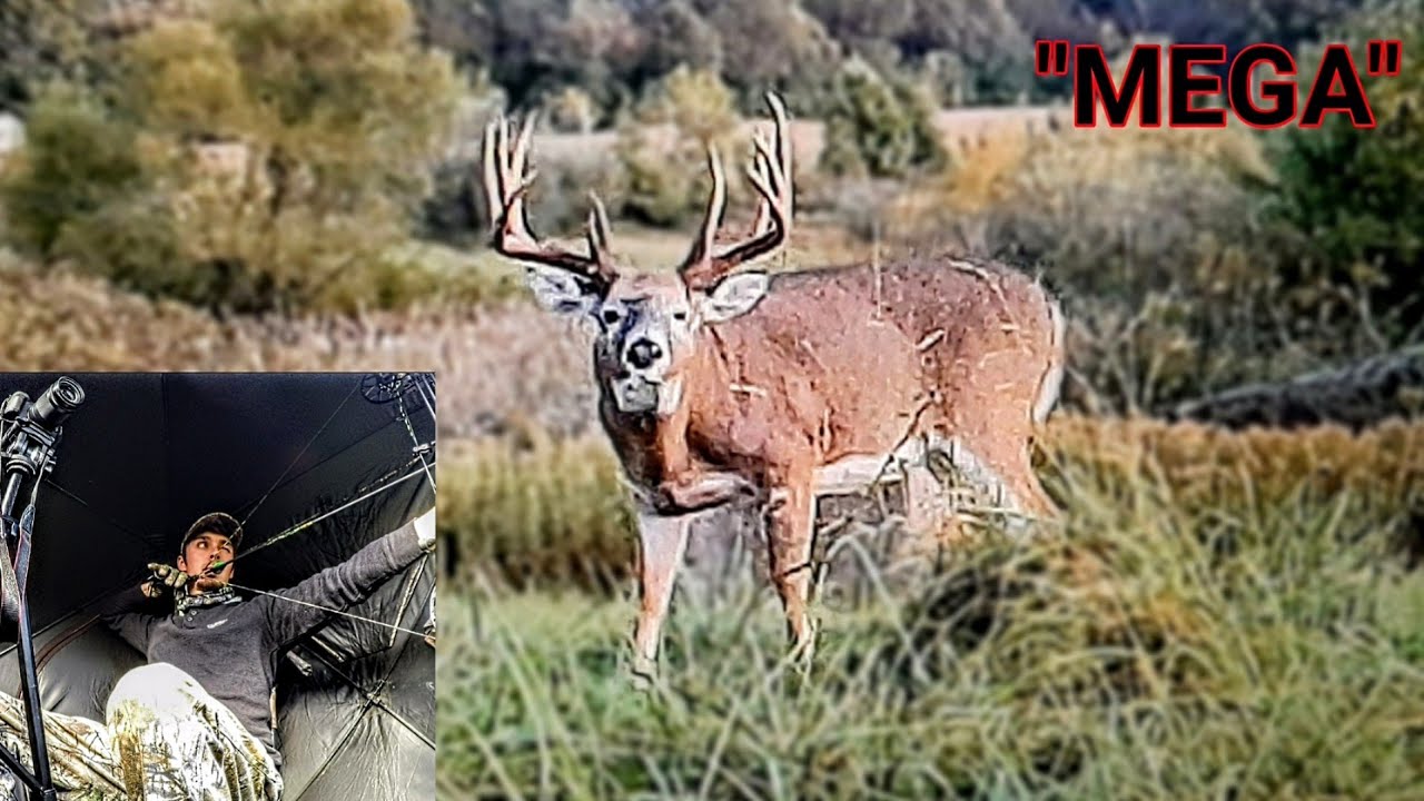 190" MONSTER OHIO BUCK at 20 YARDS!! (And I BLEW it) - YouTube