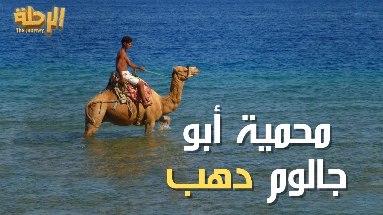 Abo Galom Dahab ابو جالوم دهب - YouTube