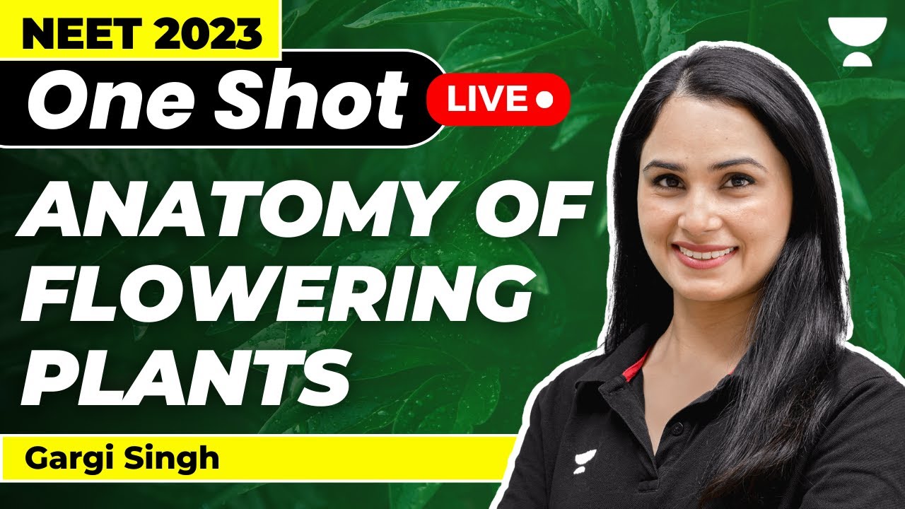 One Shot - Anatomy of Flowering Plants | YT Crash Course | Biology ...