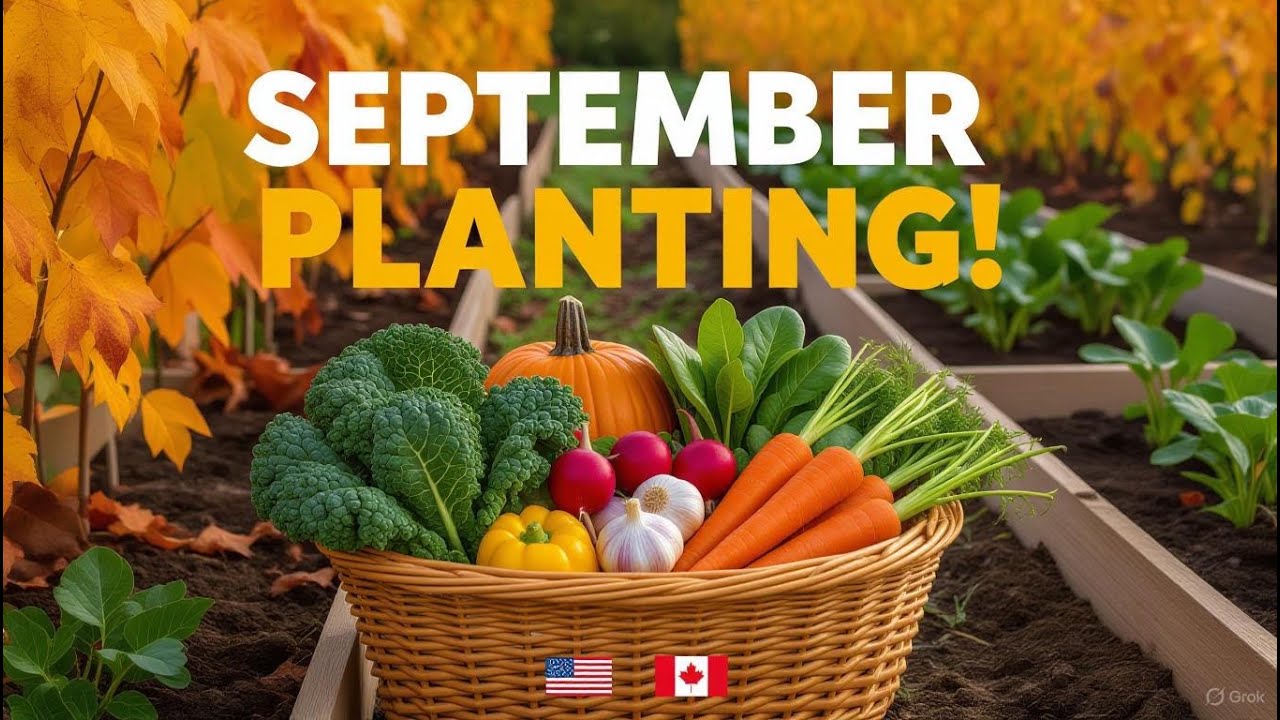 What to Plant in September | 10 Best Fall Crops for USA & Canada ...