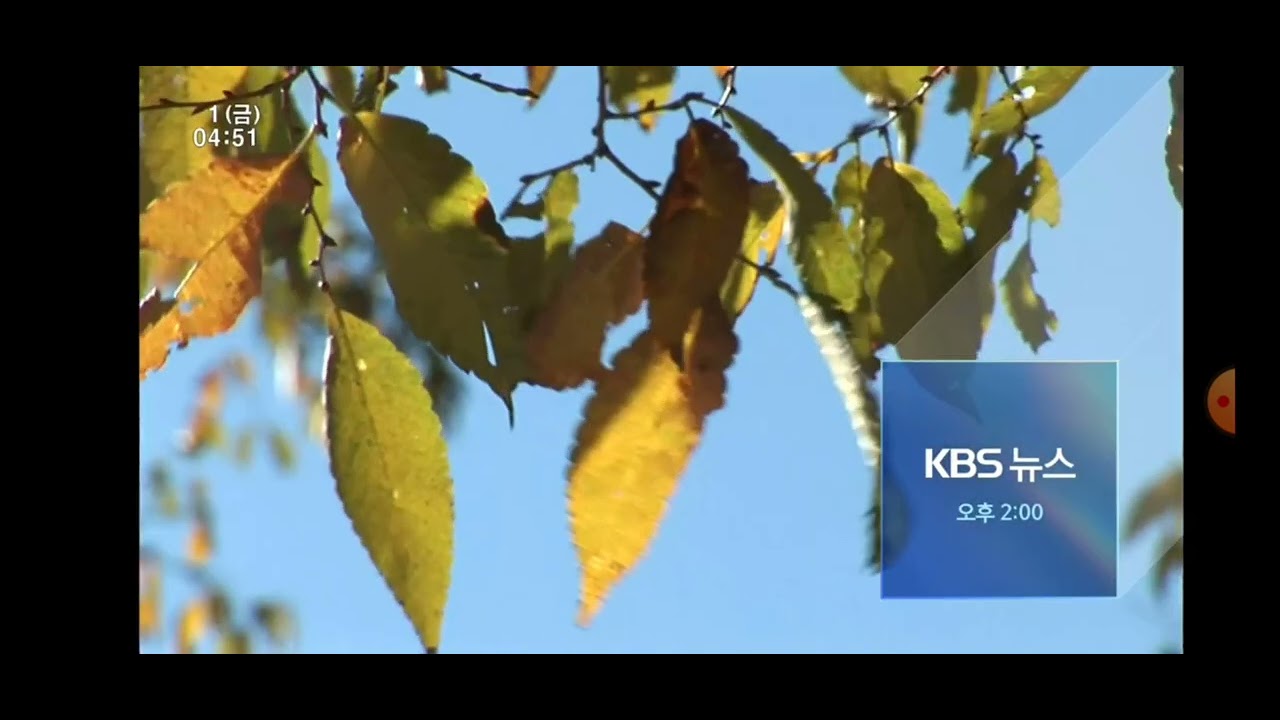 20241101 KBS1 방송순서영상(원본 영상) - YouTube