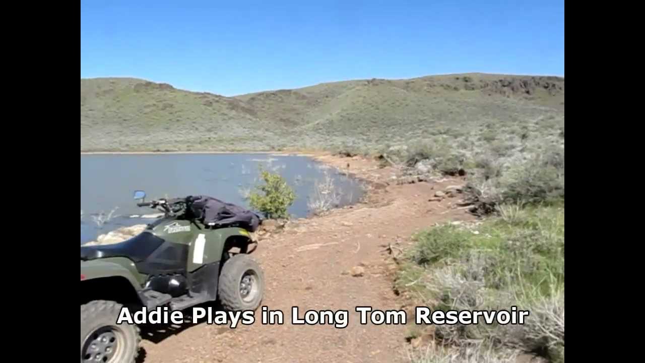 ATV Trip to the Long Tom Reservoir Area - YouTube
