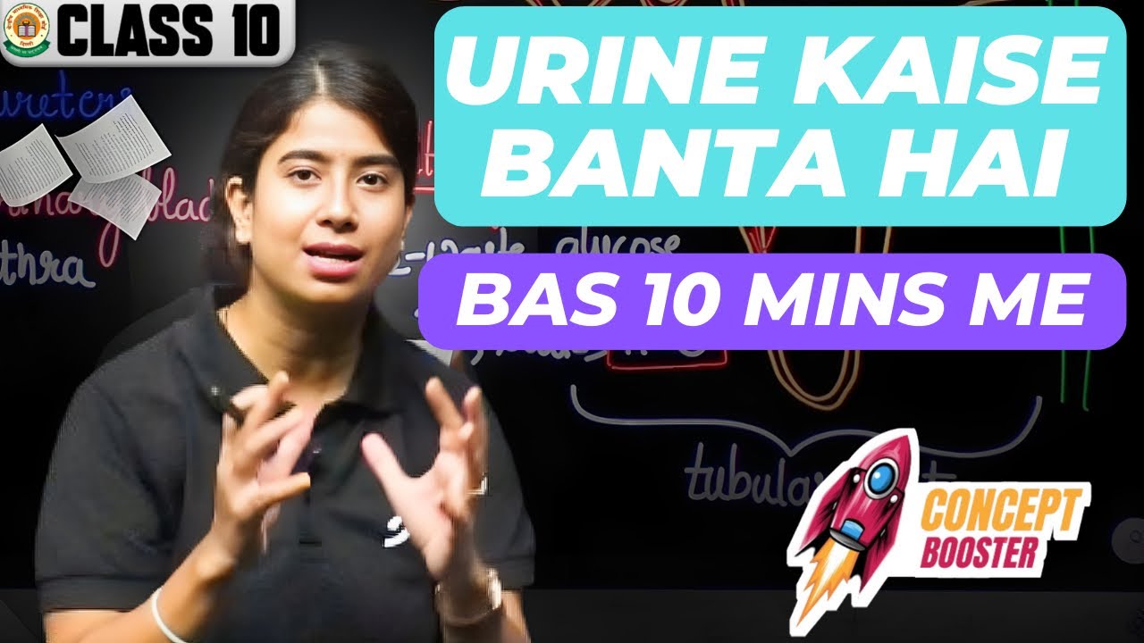 How is Urine Formed in Body ? || Anatomy of Urinary System || Class 10 ...