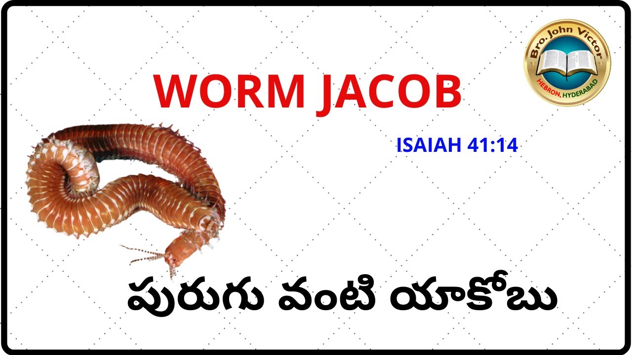 " WORM JACOB " ISAIAH 41:14 - YouTube